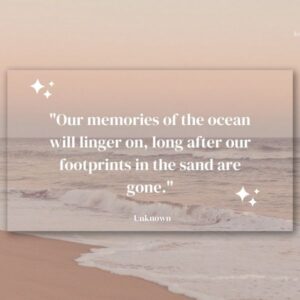 75 Inspirational Ocean Quotes You Must Read