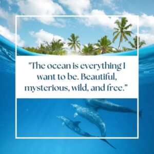 75 Inspirational Ocean Quotes You Must Read