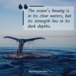 75 Inspirational Ocean Quotes You Must Read