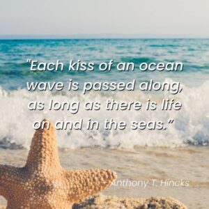 75 Inspirational Ocean Quotes You Must Read