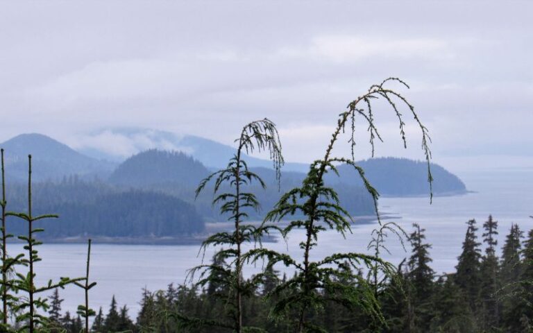 Explore Alaska’s Cruise Ports - Your Ultimate Map & Guide