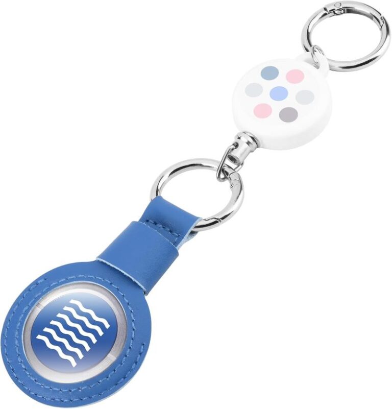 10 Best Princess Medallion Accessories