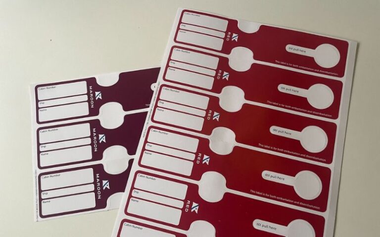 Cruise Luggage Tags: Every Question Answered!