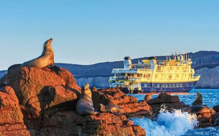 What is a Cruise Ship Draft - Luxury Cruising