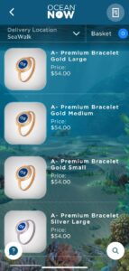 10 Best Princess Medallion Accessories - Luxury Cruising