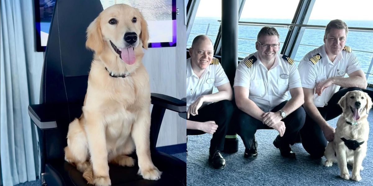 Chief Dog Officer Appointed As Rover Takes Her Permanent Position Onboard