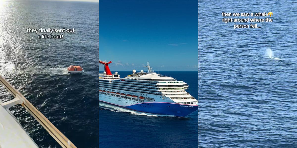 Passenger Dies After Going Overboard From Disney Wonder in Tasman Sea ...