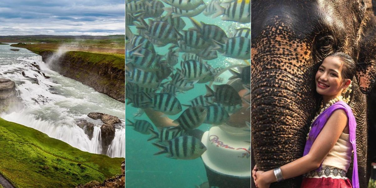 The 12 Best Nature-Themed Shore Excursions You Can't Miss