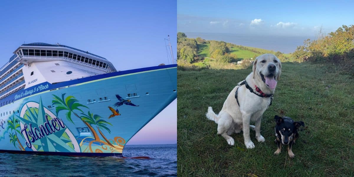 US Cruise Line To Launch Dog-Friendly Cruise In Early 2026