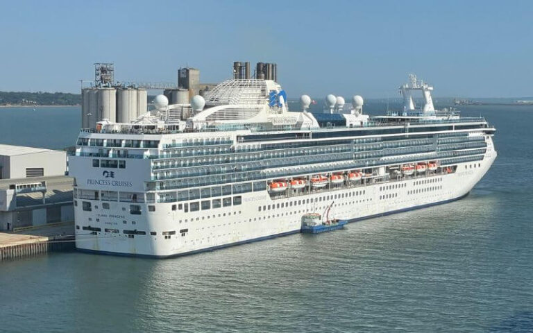 21 Things You Need To Know About Princess Cruises' Ocean Medallion ...