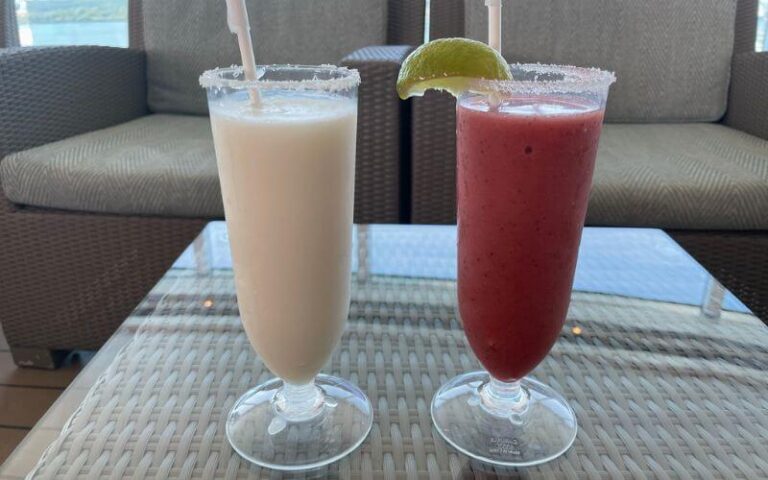 Princess Premier Vs Princess Plus - Which Is Best? (With 2026 Prices ...