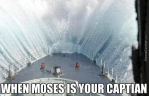 43 Funny Cruise Ship Memes to Make You Smile