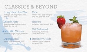 Princess Cruises Drinks Menus With Prices
