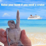 41 Funny Cruise Ship Memes to Make You Smile